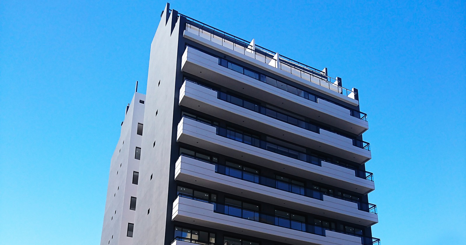 Panda Pandemial, el próximo mural de Nocito Constructora - Nocito