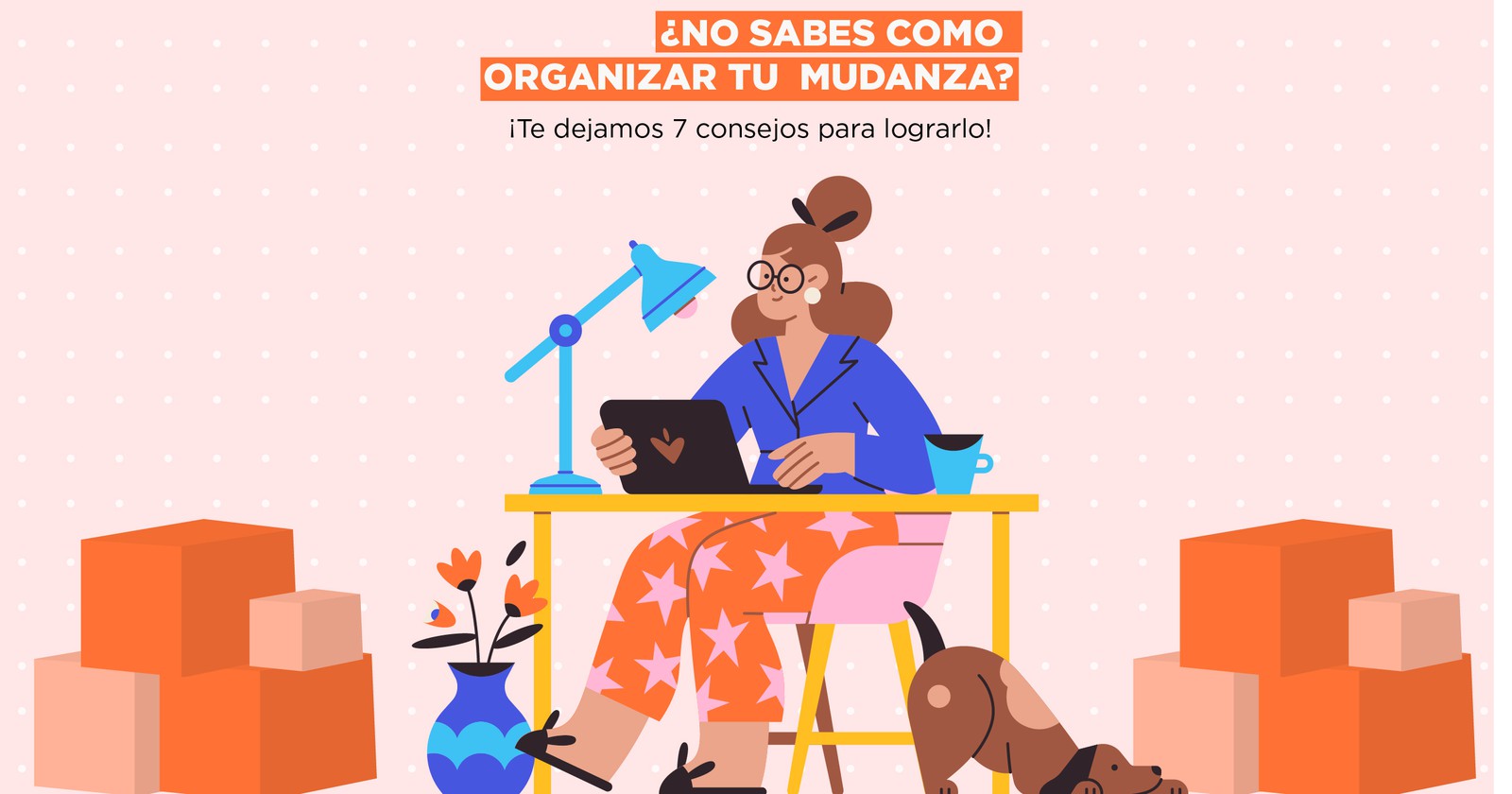 Consejos Para Mudarse Estos Son Los Consejos Del Feng Shui Para Una